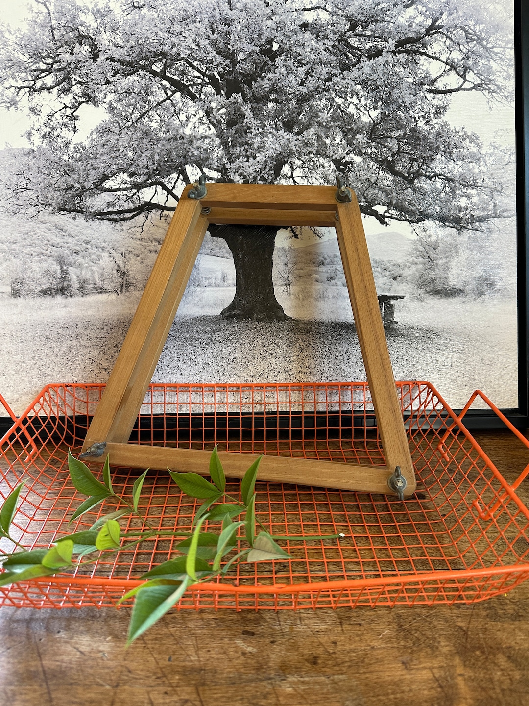 Wooden | Tennis | Racket | Press | Wall Hanging | Decor | Frame ...