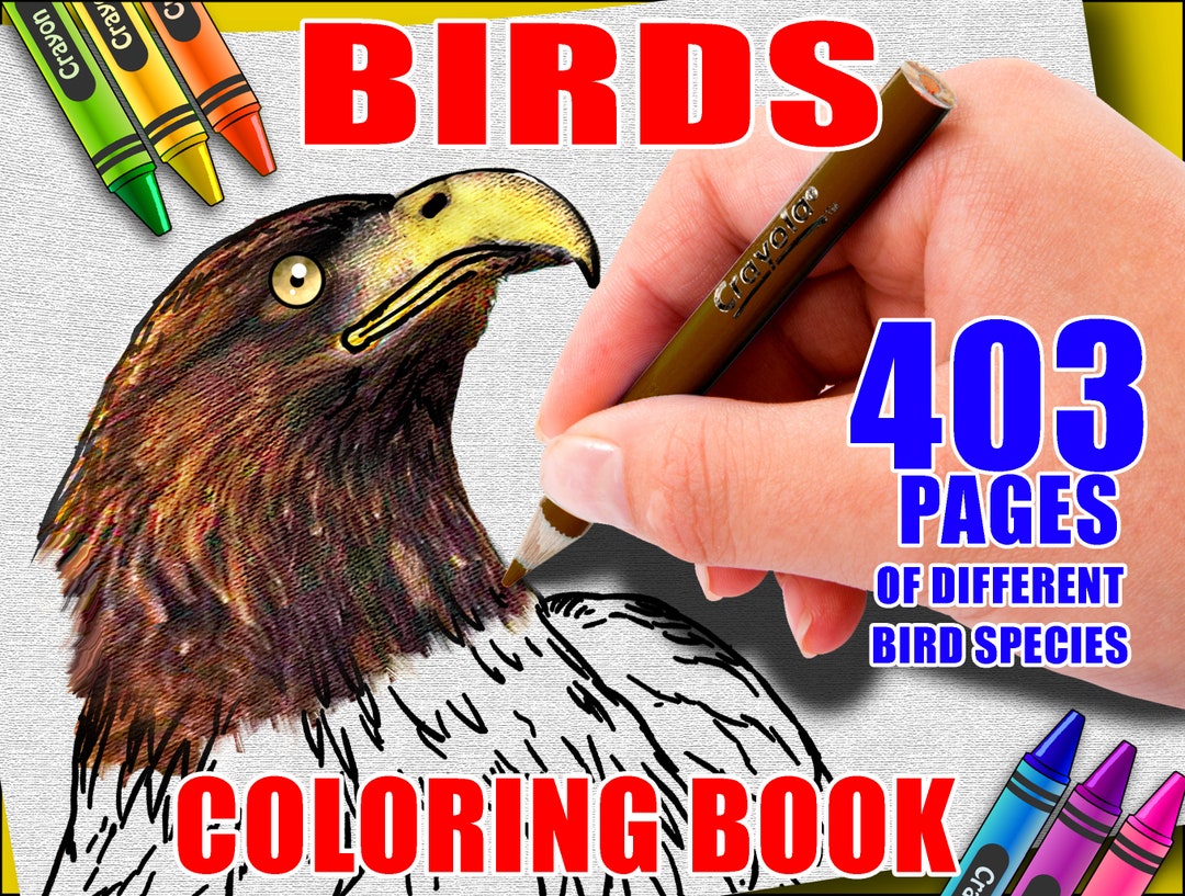 Birds Printable Coloring Pages for Children and Adults, Coloring Book ...