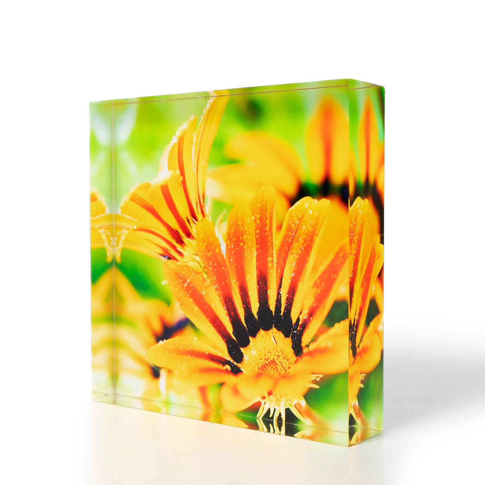 Timelapse Photography of Vehicles and Buildings Tokyo Lucite Decor ...