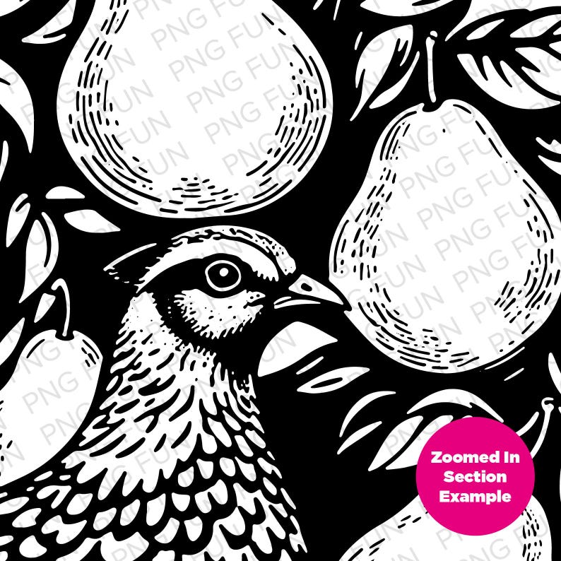 Partridge in A Pear Tree Clipart From Twelve Days of Christmas | High ...