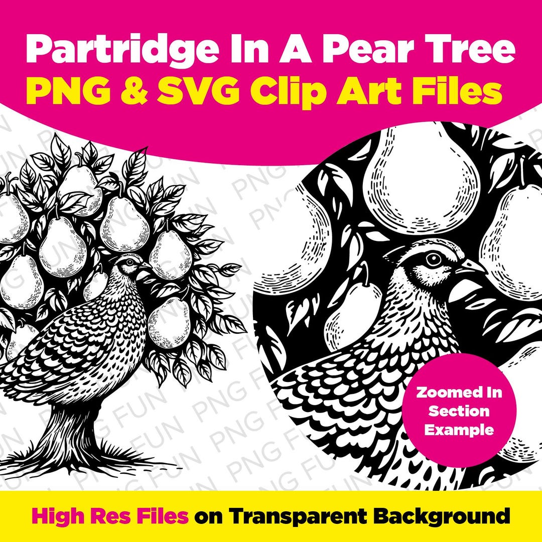 Partridge in A Pear Tree Clipart From Twelve Days of Christmas | High ...