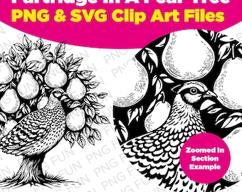 Partridge in A Pear Tree Clipart From Twelve Days of Christmas | High ...