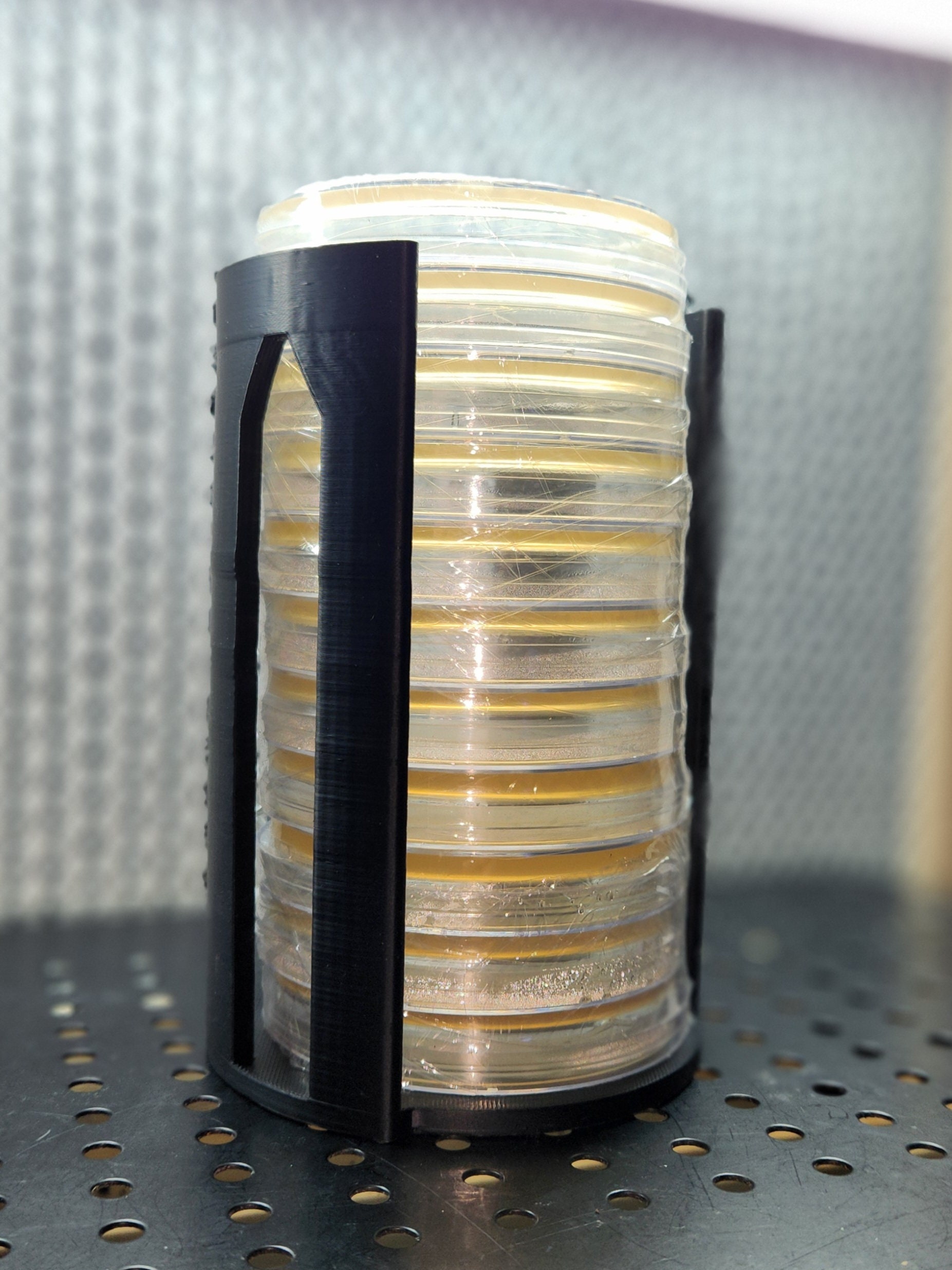 Agar Dish Holder for Lab or Petri Dish 100 or 60mm - Etsy