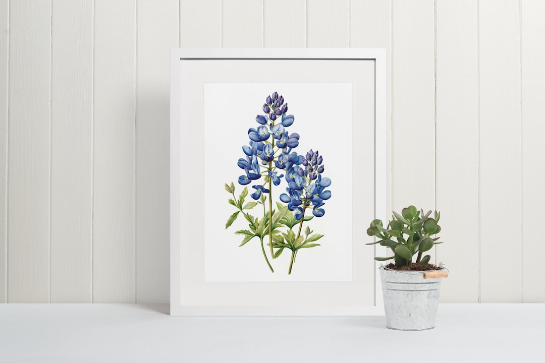 Texas Bluebonnet Flower Print | Wildflower Wall Art | Floral Printable ...