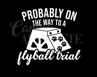 Flyball Box - Etsy UK