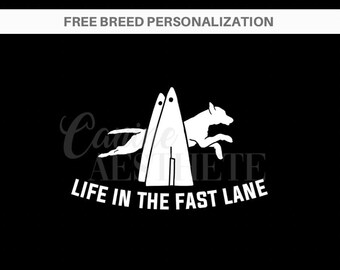 Fast Lane Decal - Etsy