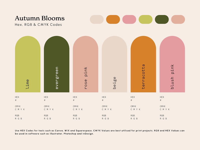 Deluxe Autumn Bloom Brand Palette. Editable Canva Colour Palette With ...