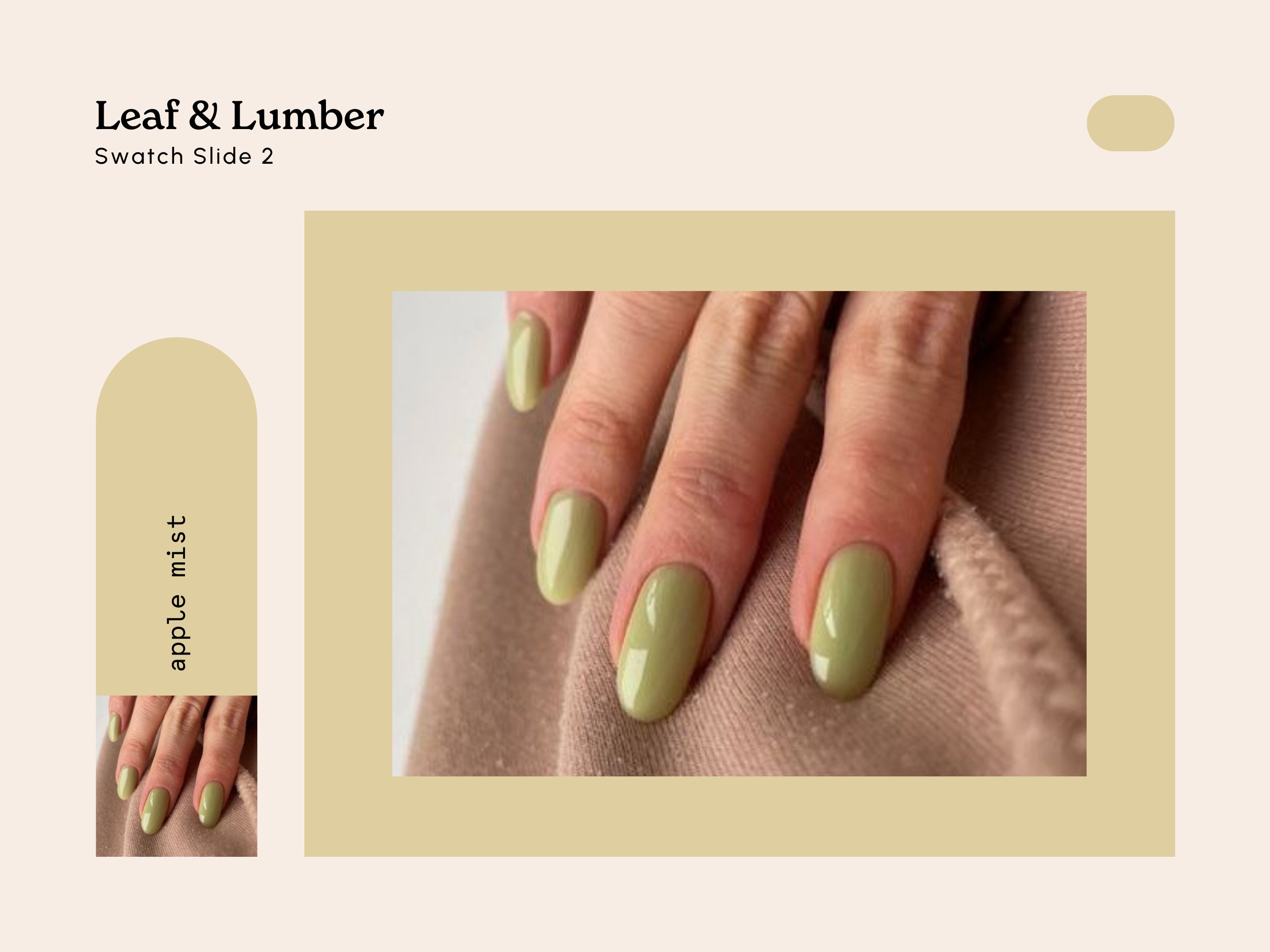 Deluxe Organic Tone Brand Palette. Editable Canva Colour Palette With ...