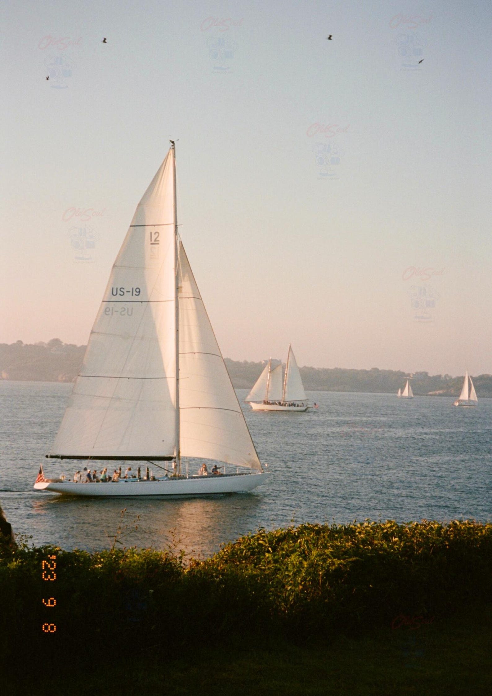PNG DOWNLOAD - Newport Sailboat East Coast Summer 35mm Film Print ...