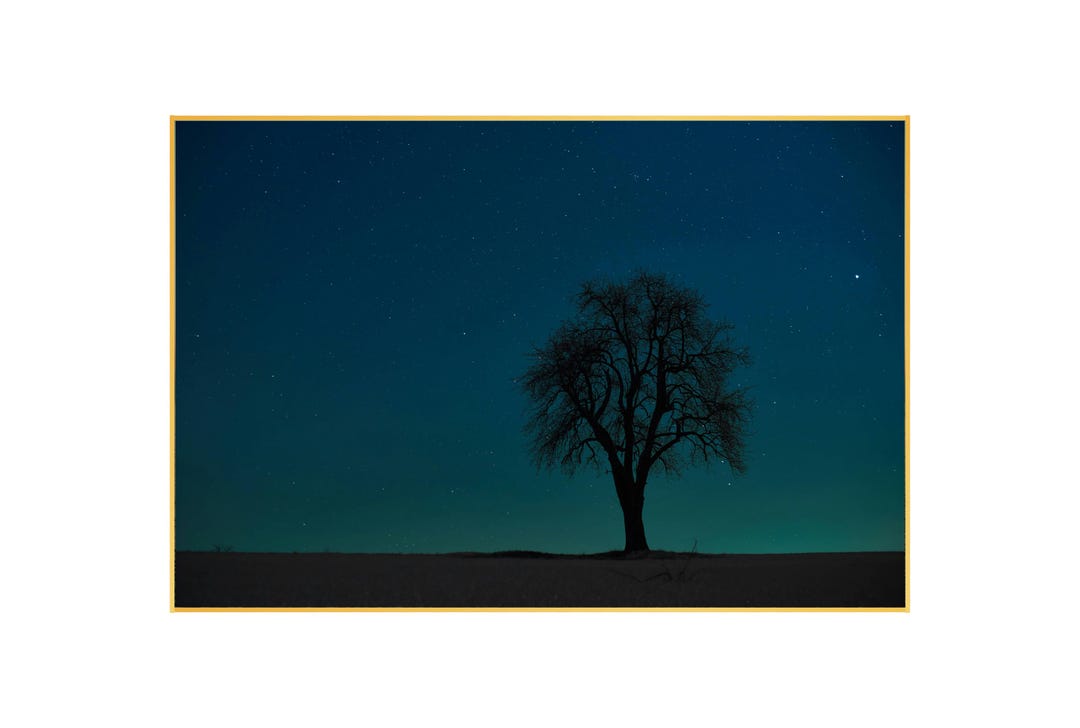 Starry Night Tree Art Print: Dreamy Sky Landscape With Stars Wall Decor ...
