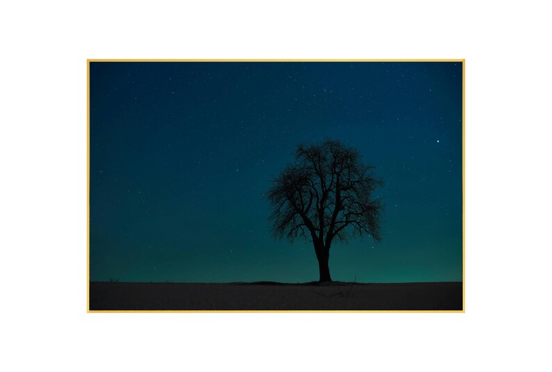 Starry Night Tree Art Print: Dreamy Sky Landscape With Stars Wall Decor ...