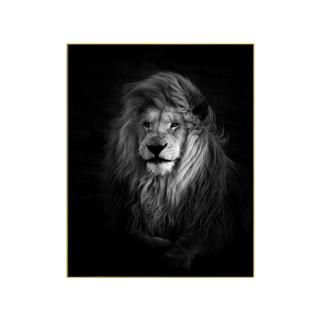 Powerful LION Close-up – Striking Wildlife Art Print | High-resolution ...