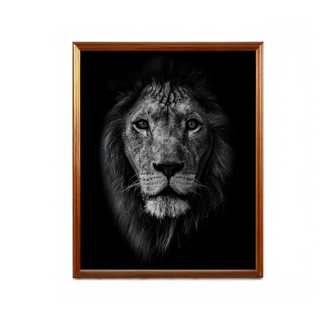 Majestic Lion Close-up Print & Canvas | Powerful Big Cat Wall Art ...