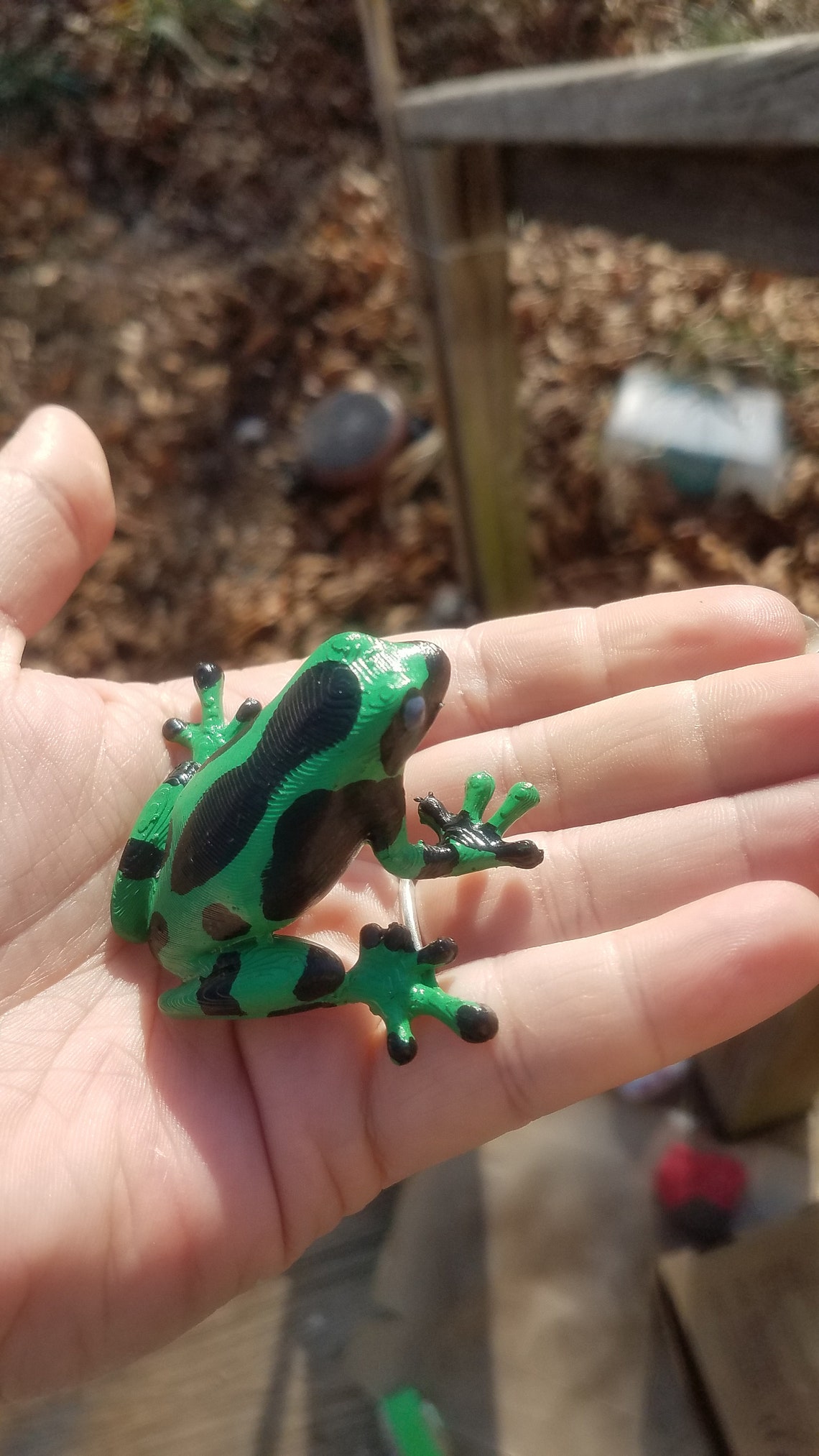 3D Printed Poison Dart Frog Magnets, Frog Magnets Refrigerator, Poison ...