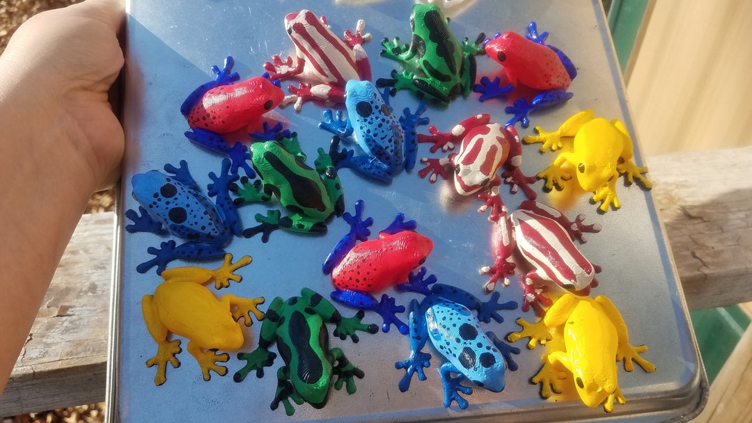 3D Printed Poison Dart Frog Magnets, Frog Magnets Refrigerator, Poison ...