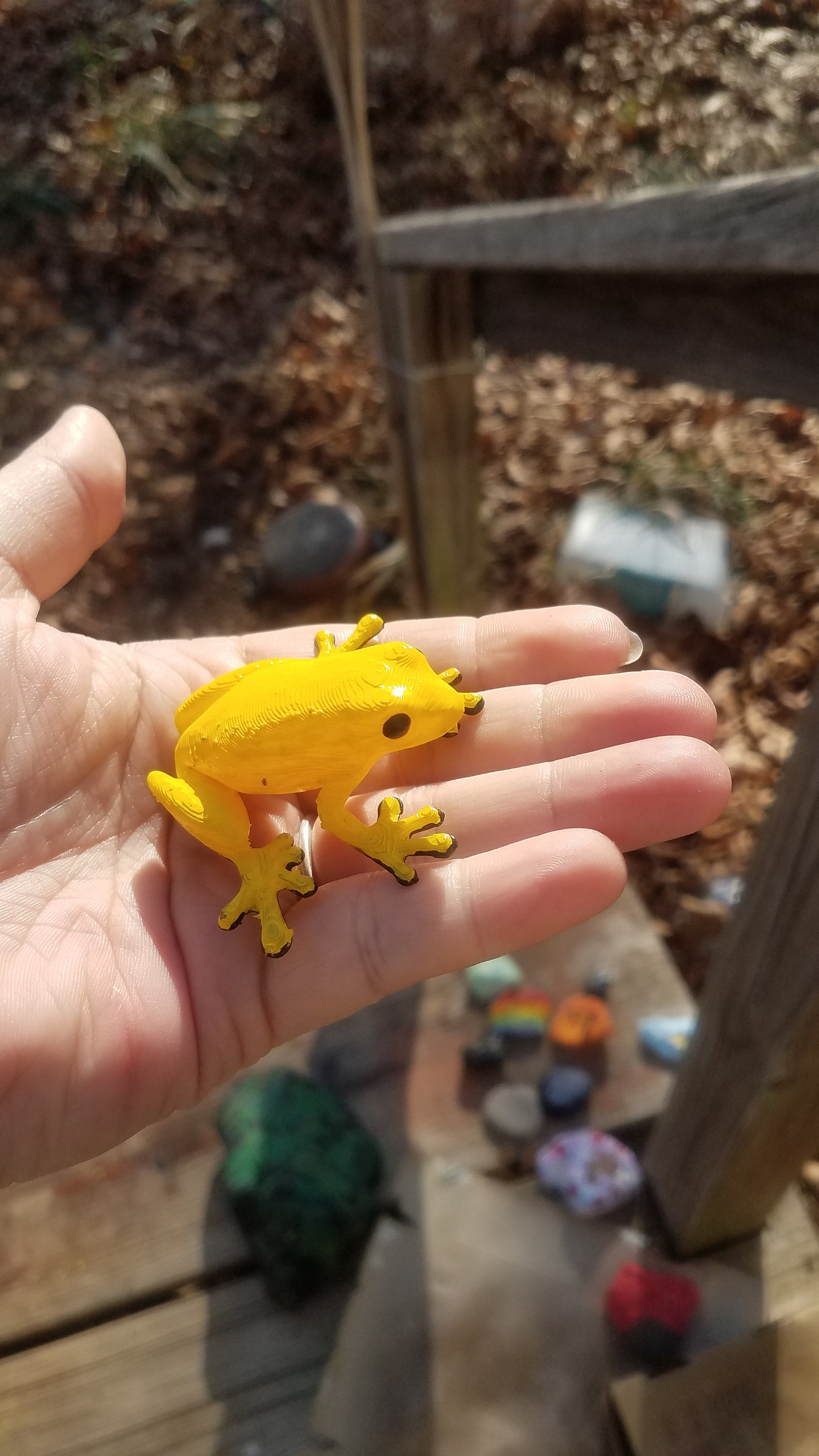 3D Printed Poison Dart Frog Magnets, Frog Magnets Refrigerator, Poison ...