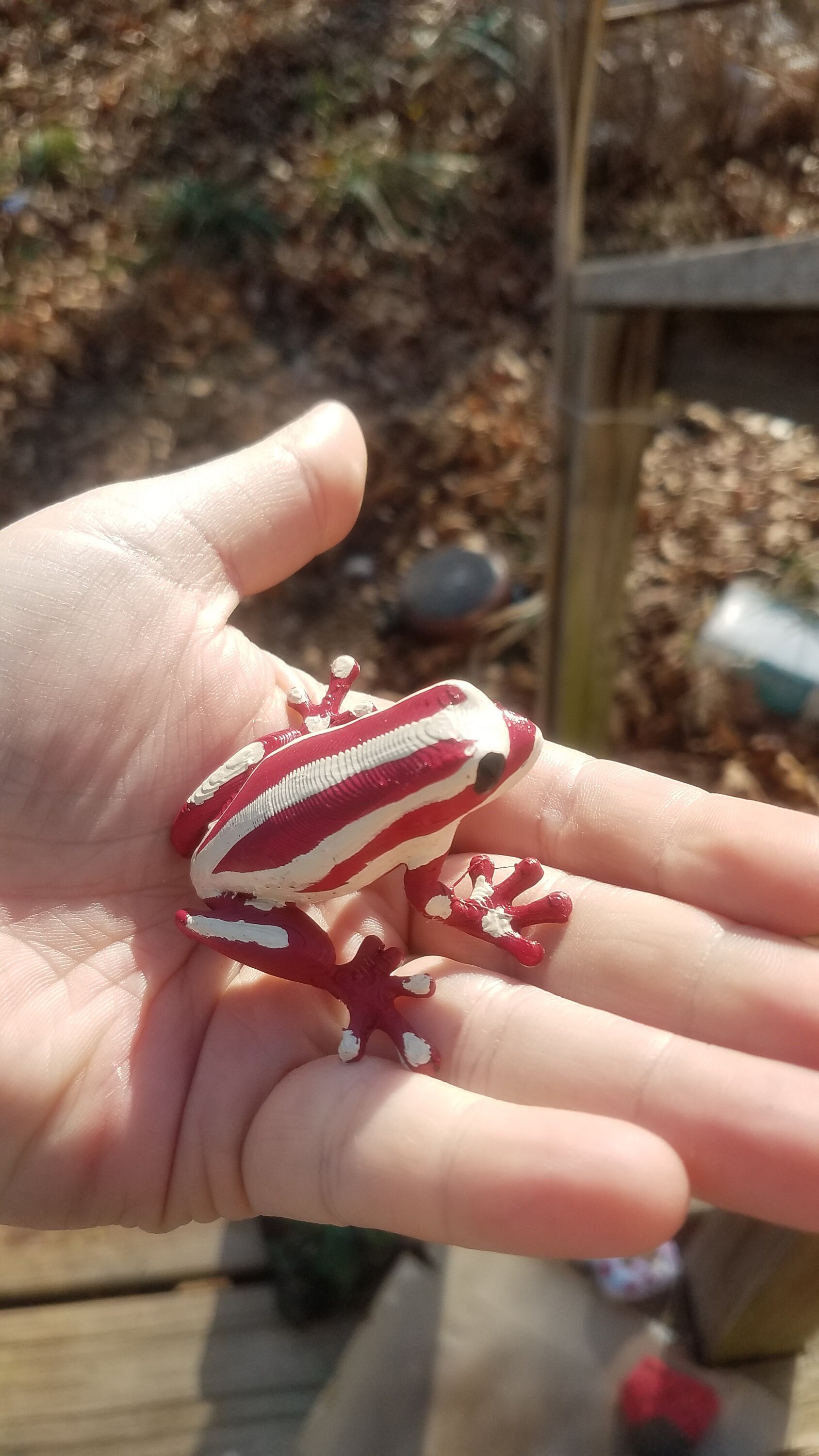 3D Printed Poison Dart Frog Magnets, Frog Magnets Refrigerator, Poison ...