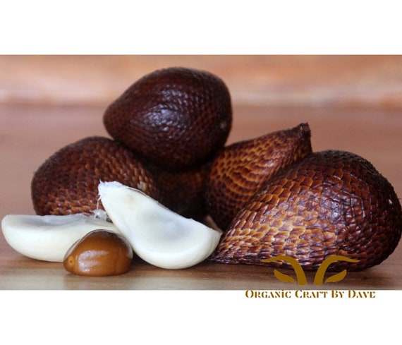 Salak Bali 15 Seeds Tropical Salacca Organic Salacca Zalacca - Etsy