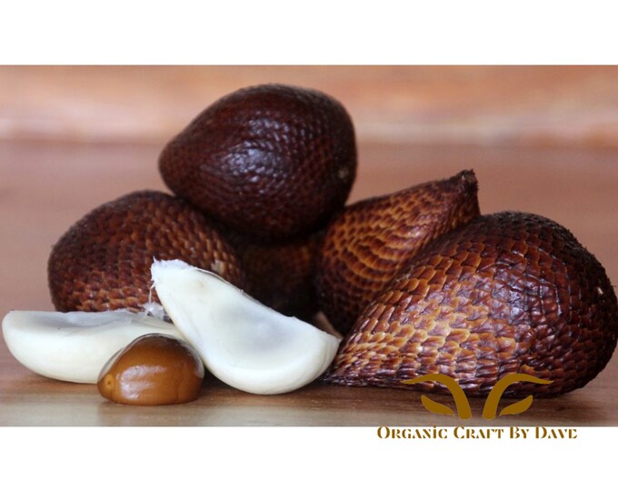 Salak Bali 15 Seeds Tropical Salacca, Organic Salacca Zalacca Palme ...