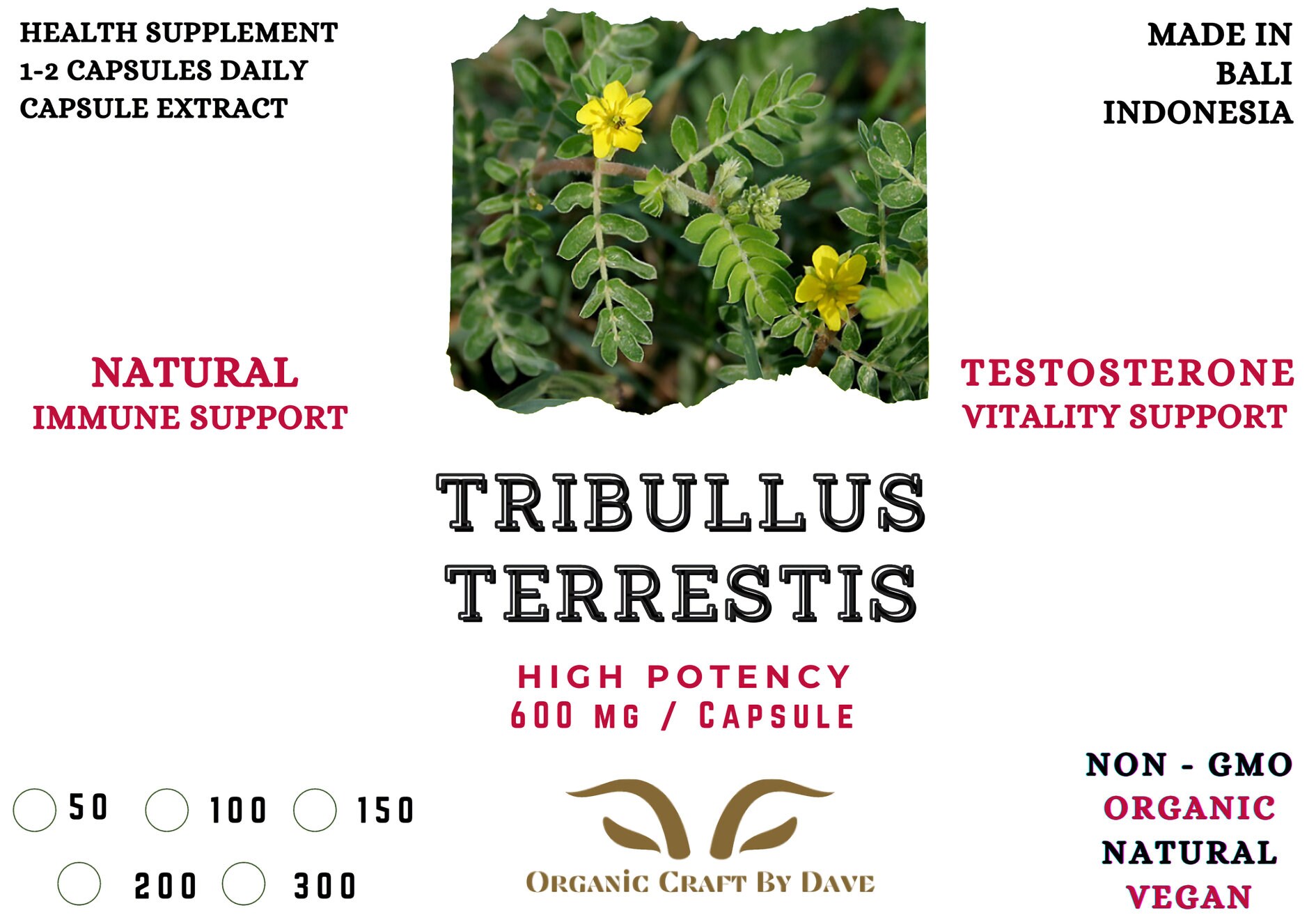 Organic Pure Tribullus Terrestris 600 Mg Vegetarian Capsules - Etsy