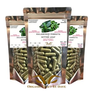 Organic Kalanchoe Pinnata + Bitter Leaf Capsules Extract Vegetarian ...