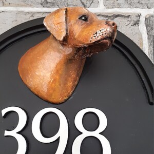 Traditional House Name House Sign, Hand-painted Dog Labrador Sculpture ...