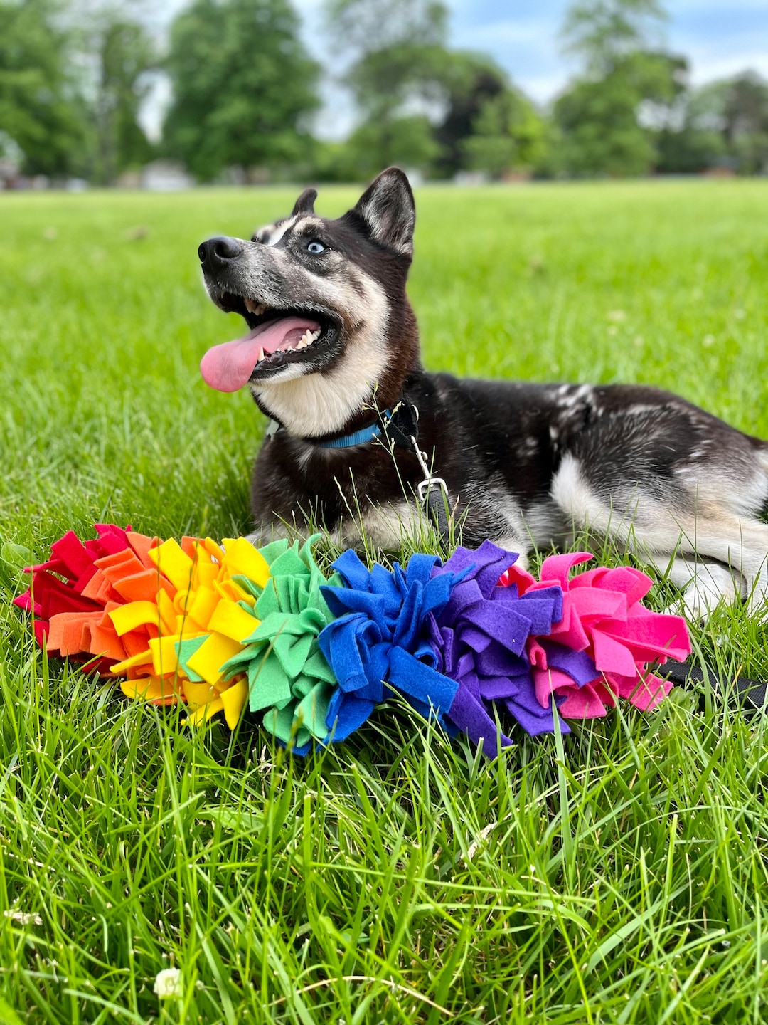 Rainbow Snuffle Rope Dog Toy - Etsy