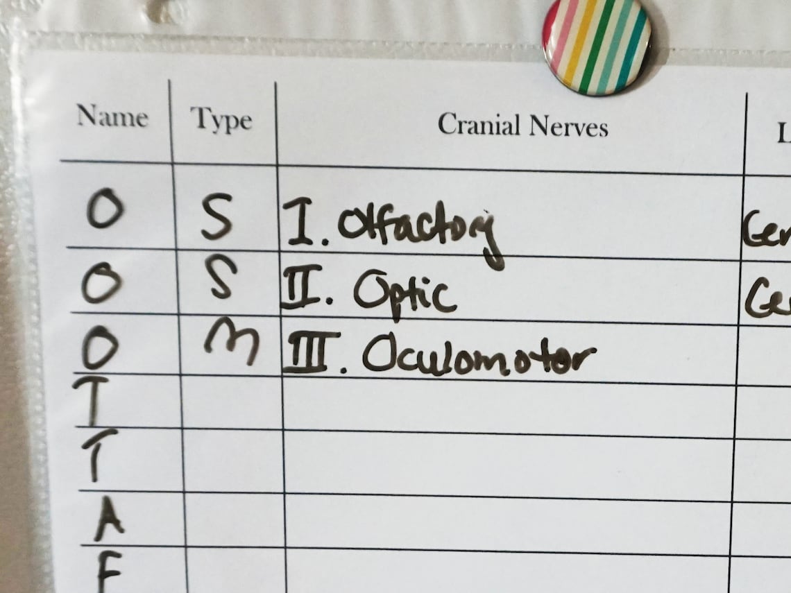 Cranial Nerves Worksheet, Cranial Nerves Chart, Cranial Nerves Study ...