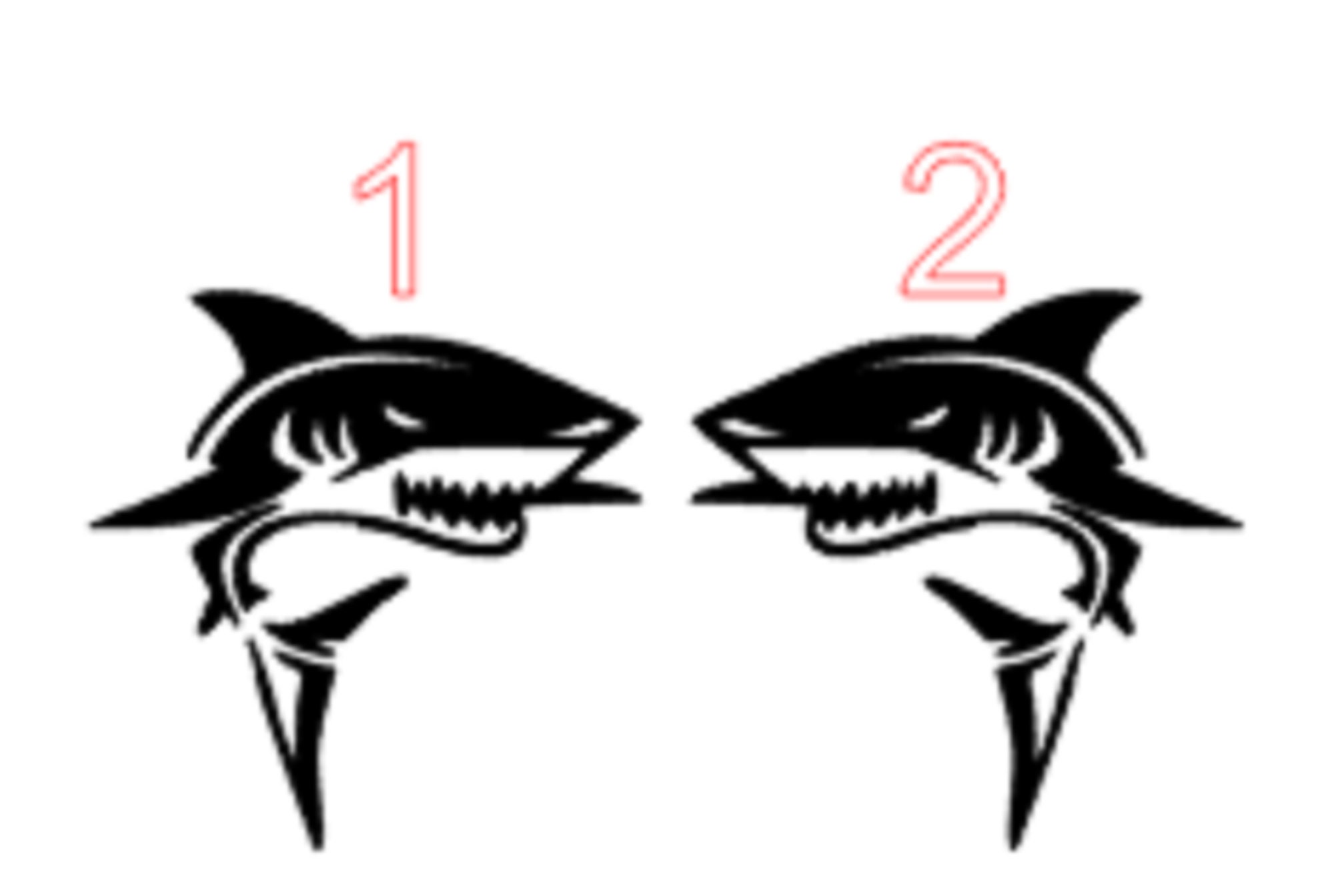 Shark Vinyl Decal - Etsy
