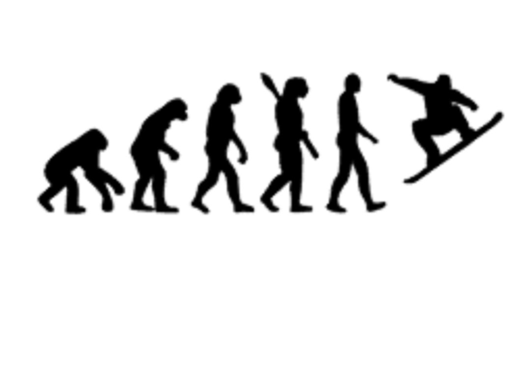 Snowboarding Evolution Sticker ( 2''-6") - Etsy UK
