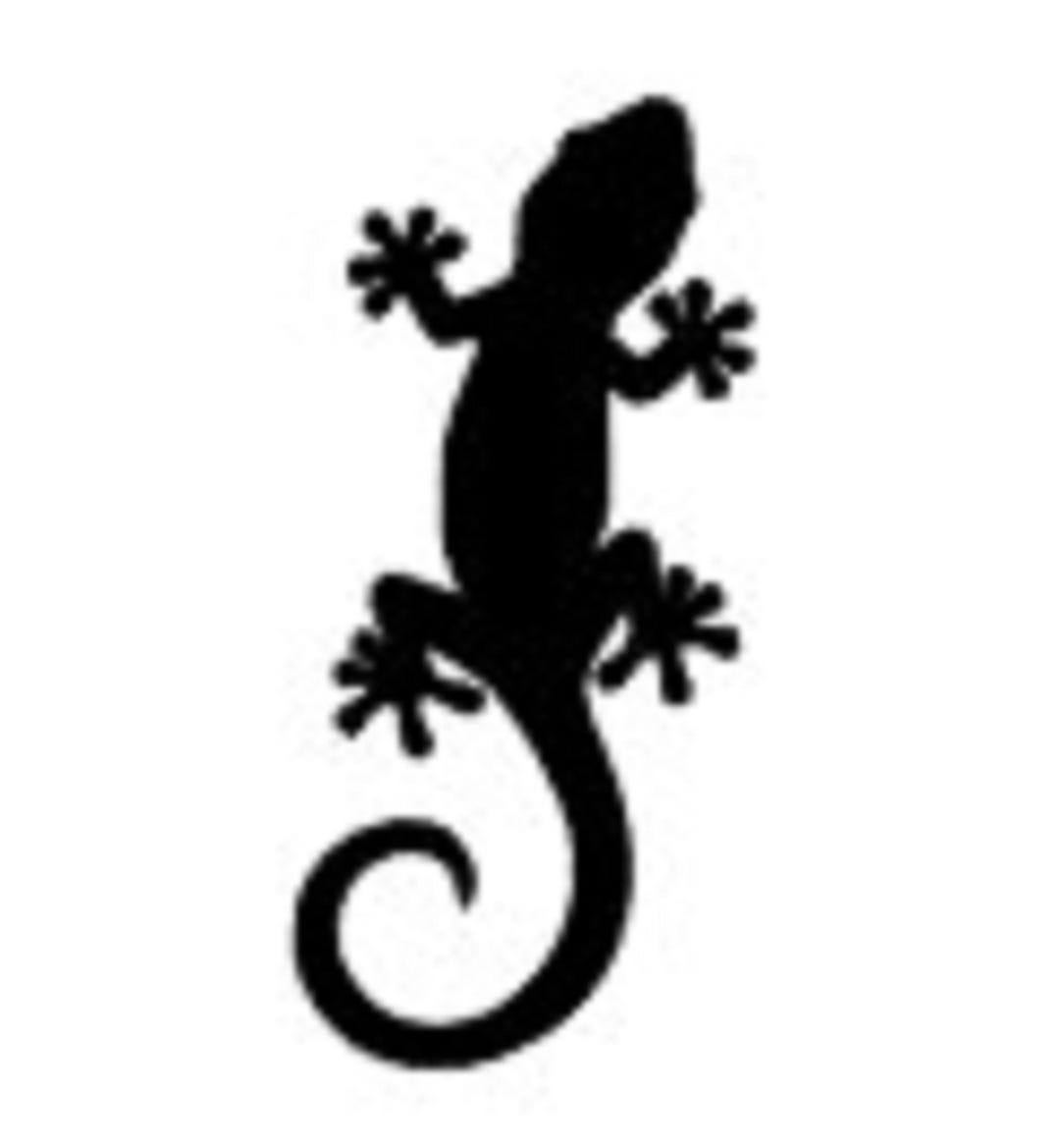 Lizard Decal, Laptop Vinyl Decal, Sticker - Etsy