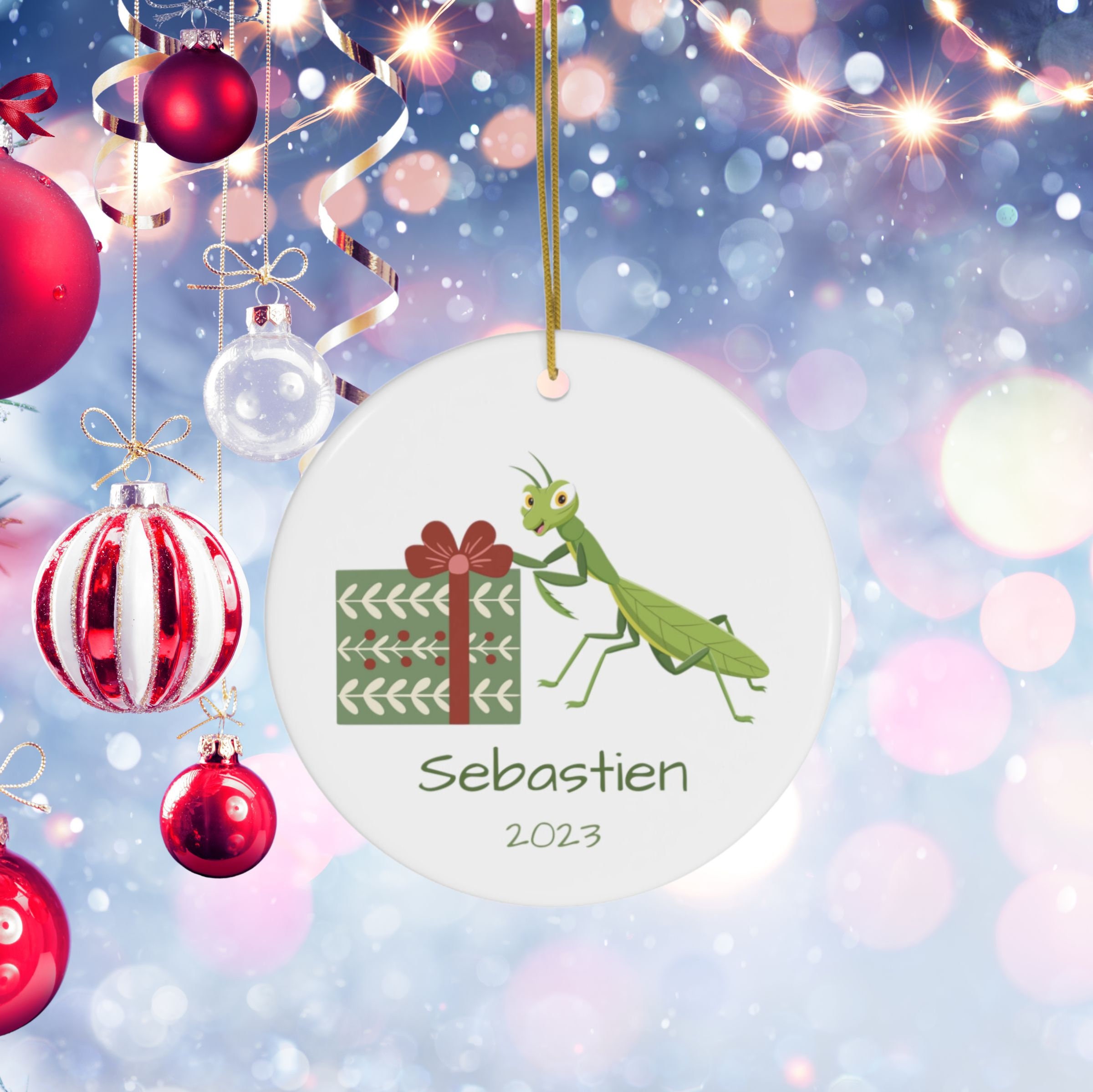 Personalized Baby Mantis Christmas Ornament for Kids, Baby Mantis ...