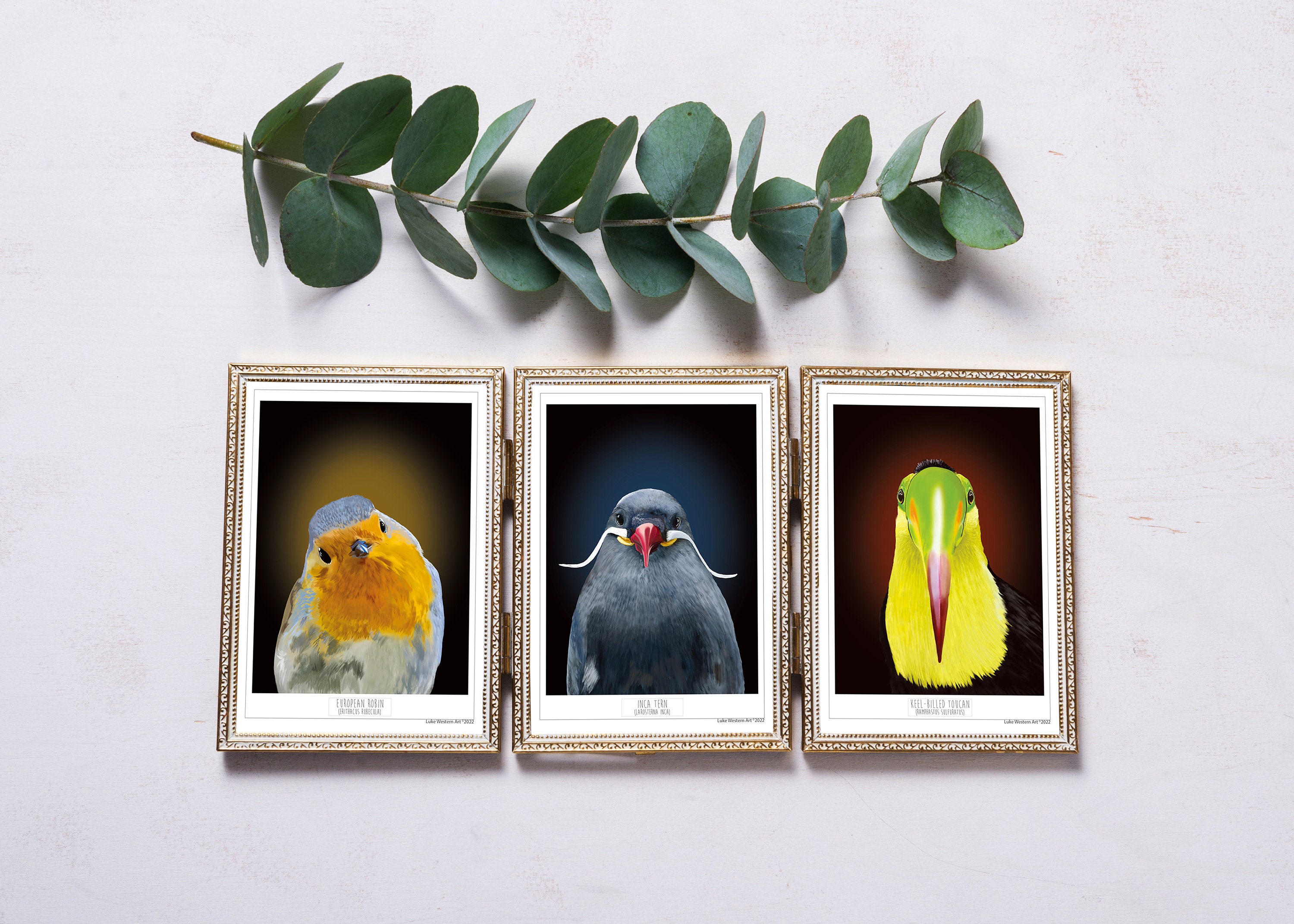 Christmas Prints. Bird Print, Wildlife Art Prints, Robin Art Print ...