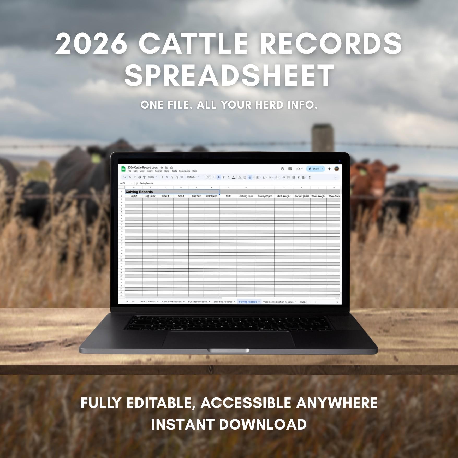 2026 Cattle Records Spreadsheet: Livestock Management (digital Download ...