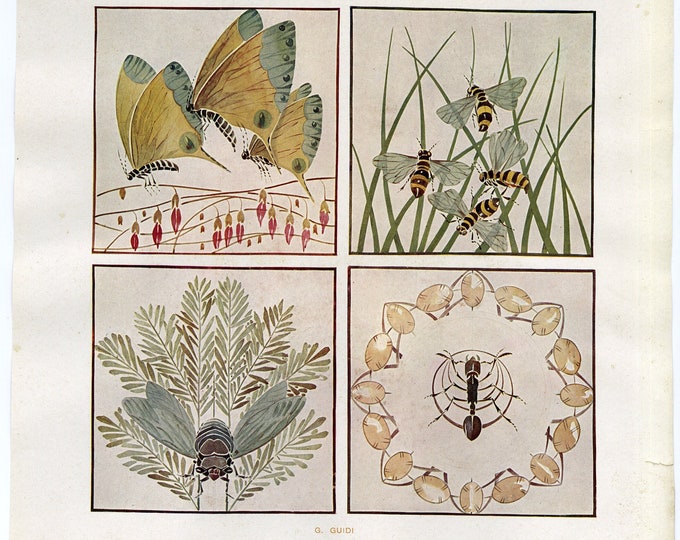 BEES, CICADAS, BUTTERFLIES and Ants. Design Motifs for Ceramic Art ...