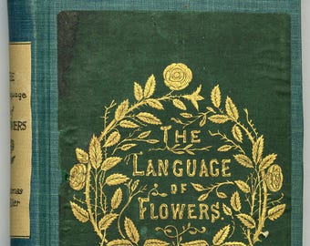 FLORIOGRAPHY: the Language of Flowers. Dated 1834, Original & Vintage ...