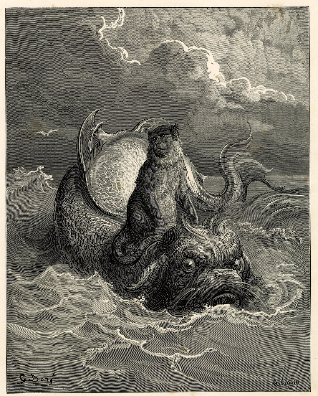 MONKEY & SEA CREATURE Lithograph. Circa 1910, Original and Vintage - Etsy