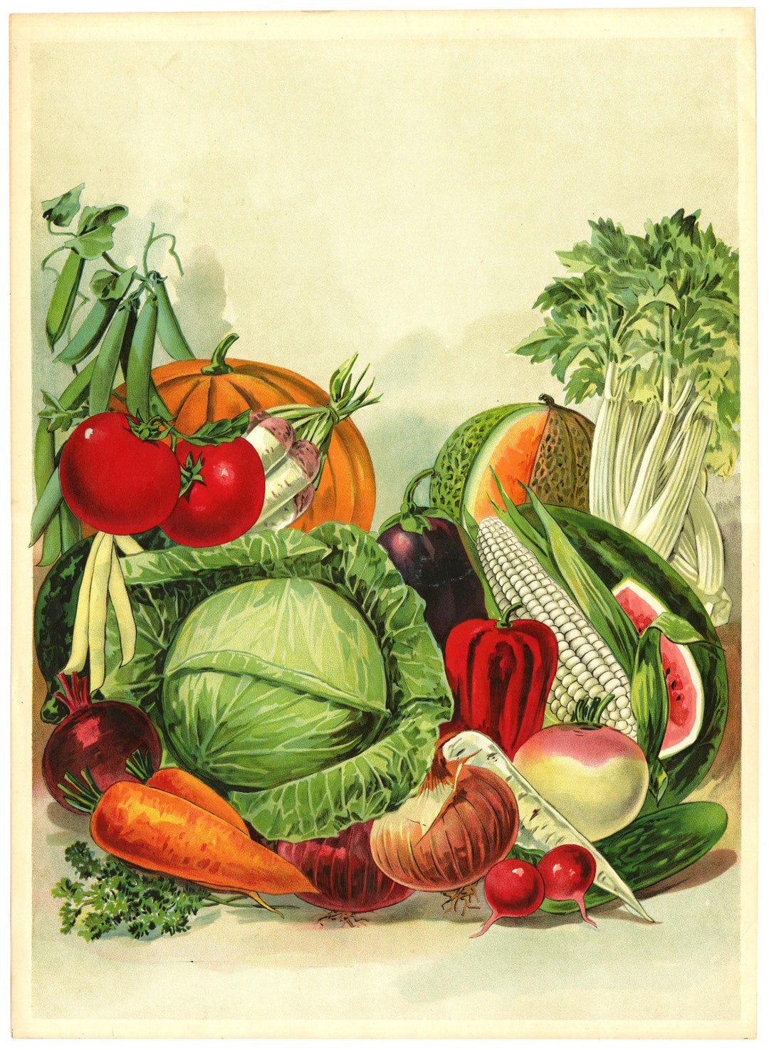 VEGETABLE POSTER. Circa 1940, Vintage - Etsy