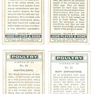 10 BRITISH POULTRY Poultry Trade Cards. Circa 1930, Vintage - Etsy
