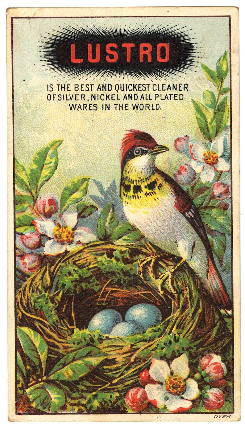 ADVERTISING TRADE CARD - Lustro. Circa 1920, Vintage - Etsy