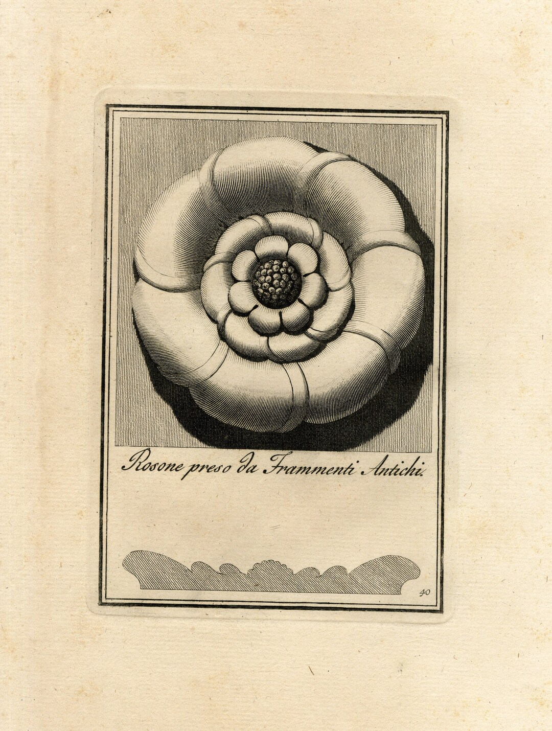 RARE ARCHITECTURAL ROSETTE - Etsy