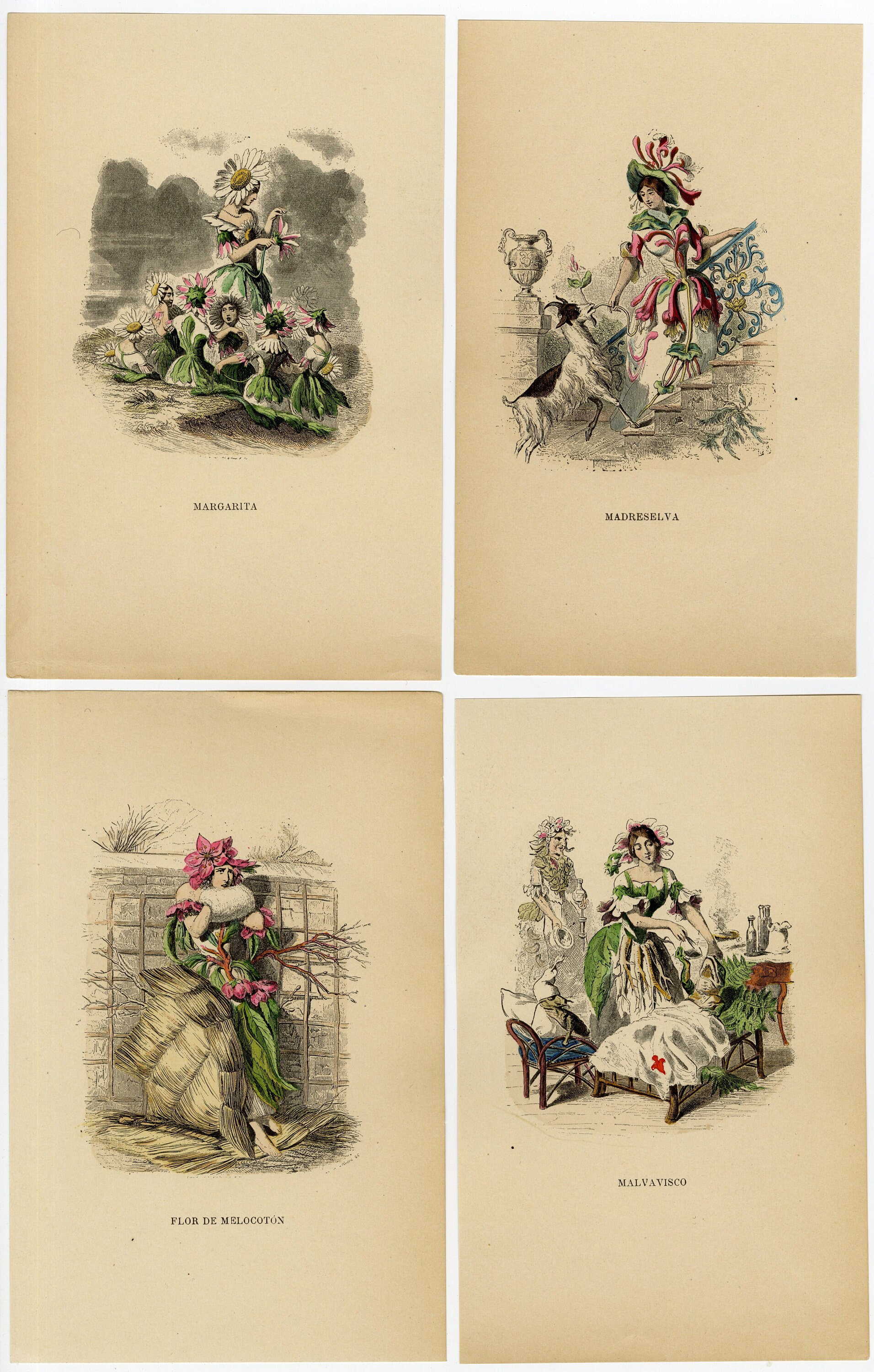 4 FRENCH HAND COLORED Prints of Anthropomorphic Flowers. Circa 1880 ...