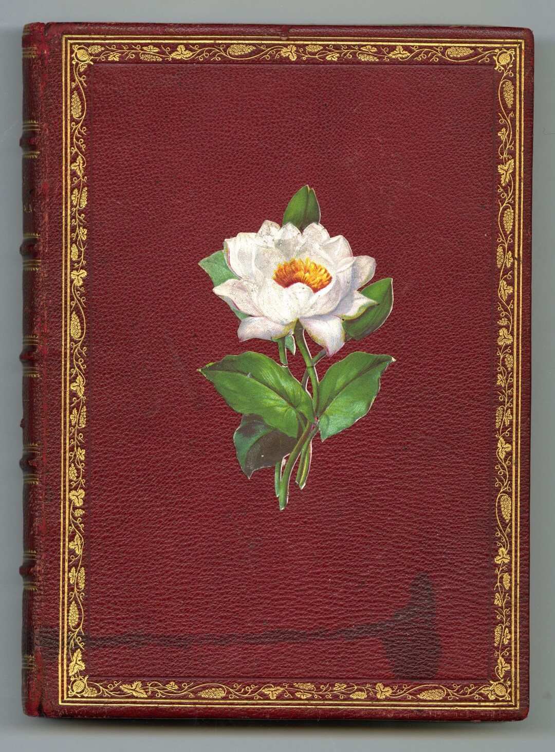 FLORA SYMBOLICA. (FLORIOGRAPHY.) Circa 1865, Original - Etsy