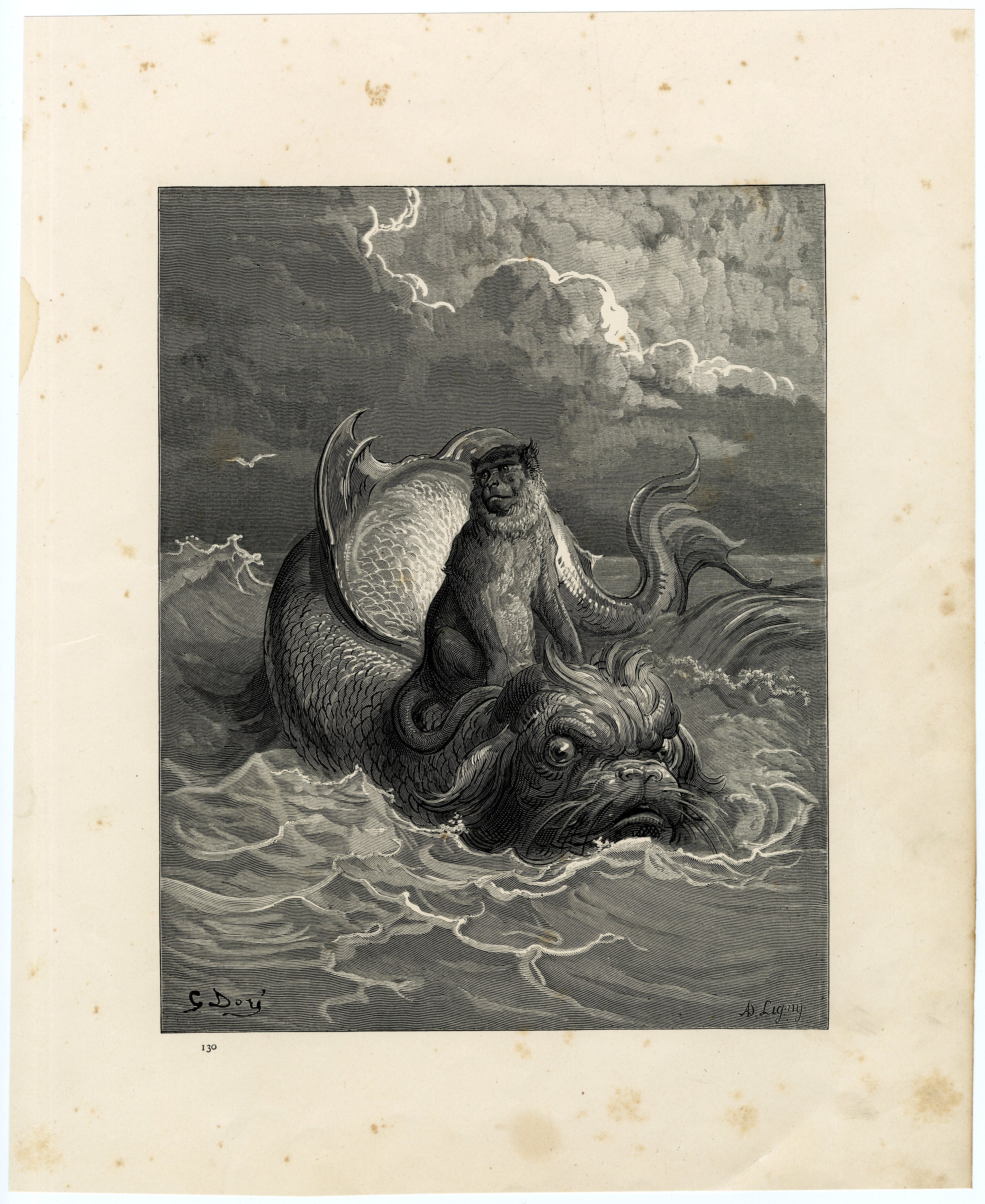 MONKEY & SEA CREATURE Lithograph. Circa 1910, Original and Vintage - Etsy