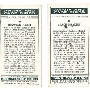 50 BIRD TRADE CARDS - Complete Set, Circa 1930, Vintage - Etsy