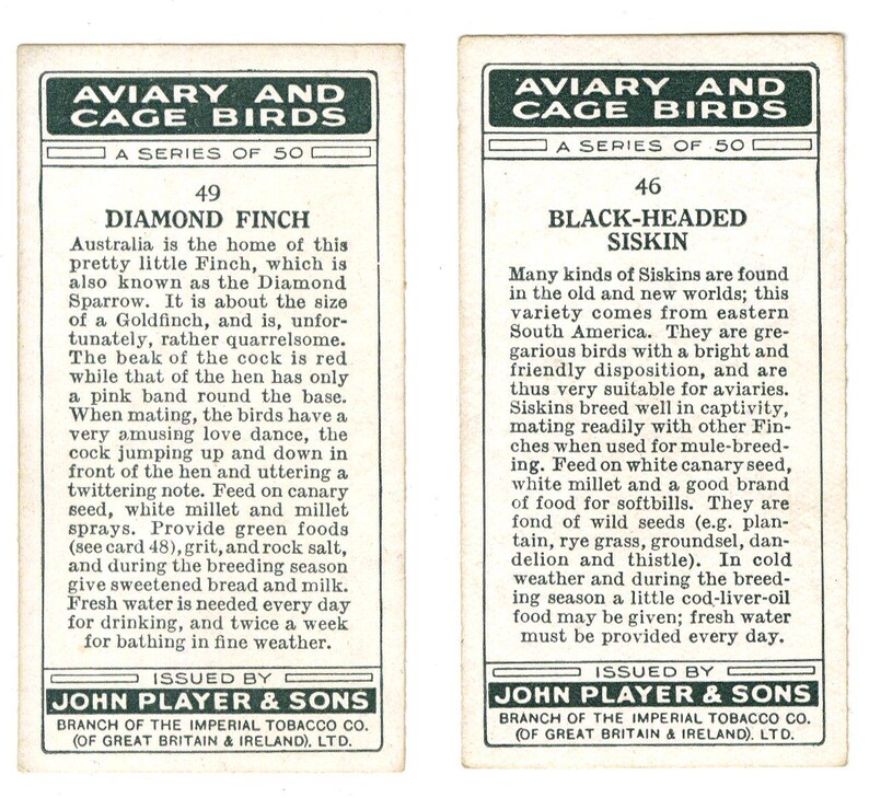 50 BIRD TRADE CARDS - Complete Set, Circa 1930, Vintage - Etsy
