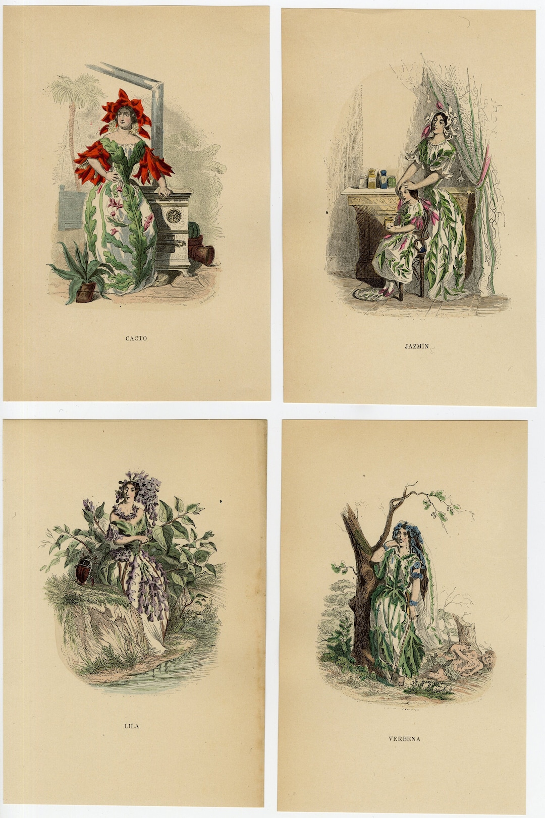 4 FRENCH HAND COLORED Prints of Anthropomorphic Flowers. Circa 1880 ...