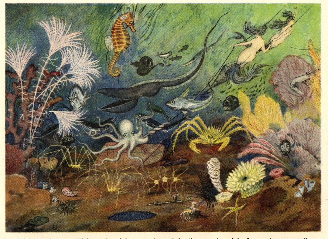 DEEP SEA CREATURES Print. and 2 Mermaids. Circa 1940, Vintage - Etsy