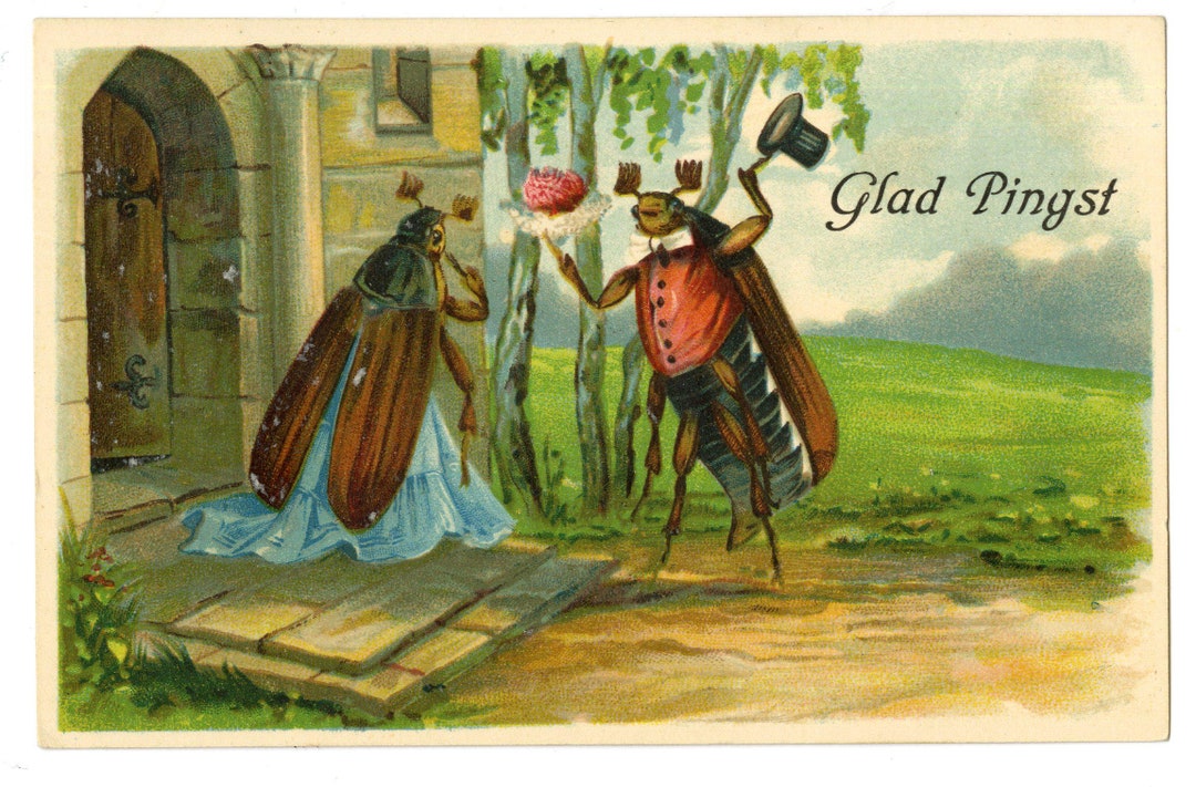 2 ANTHROPOMORPHIC BUGS POSTCARDS. Circa 1940, Original and Vintage - Etsy