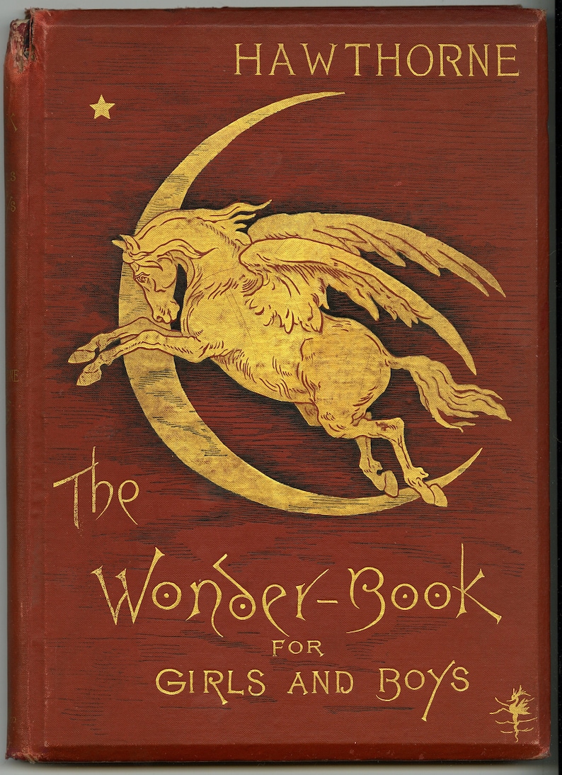 The WONDER BOOK for Boys and Girls. Children's Book, Dated 1879 ...